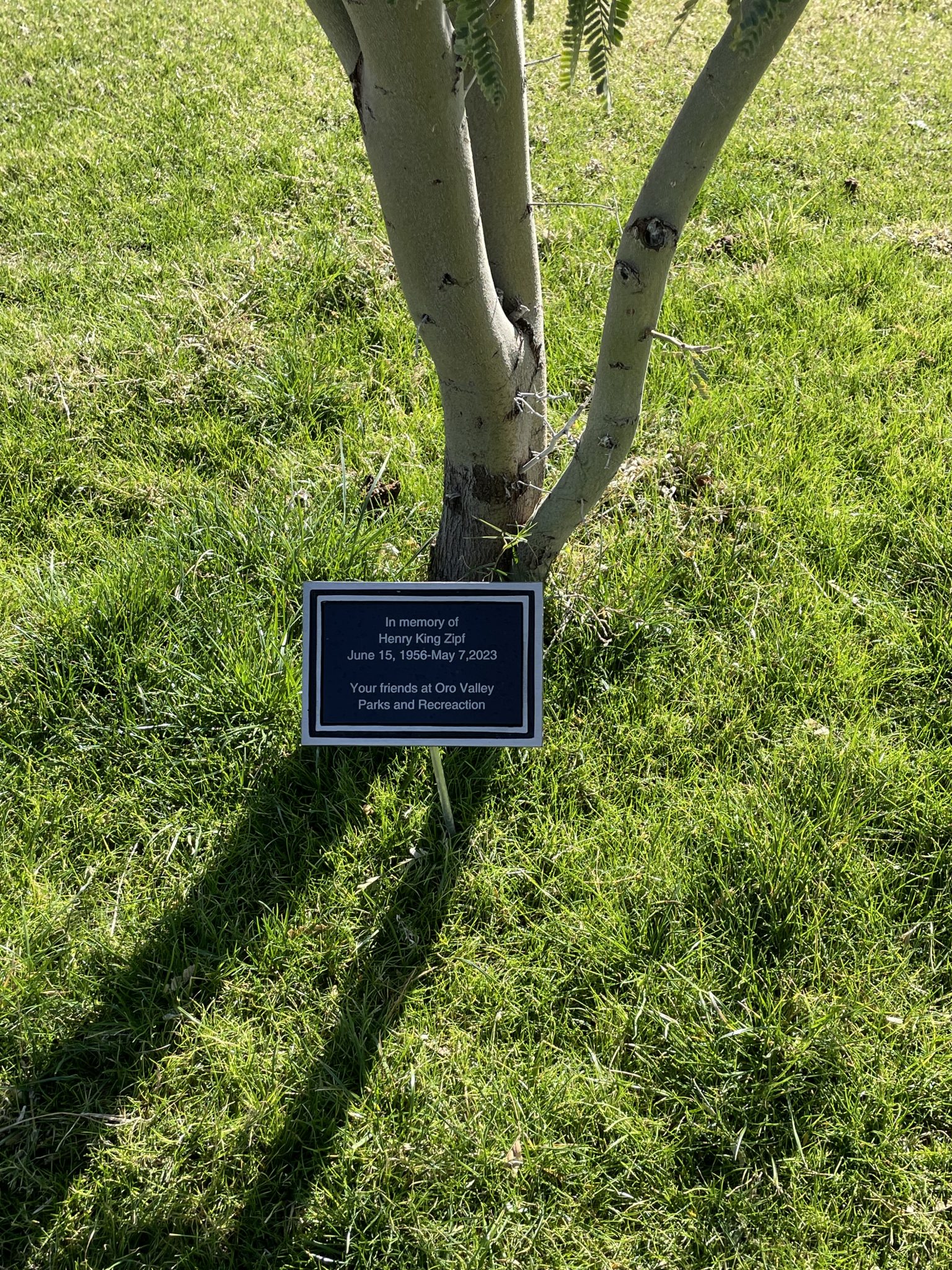 Henry K. Zipf Memorial Tree Plaque at Steam Pump Ranch 2023 - Oro ...
