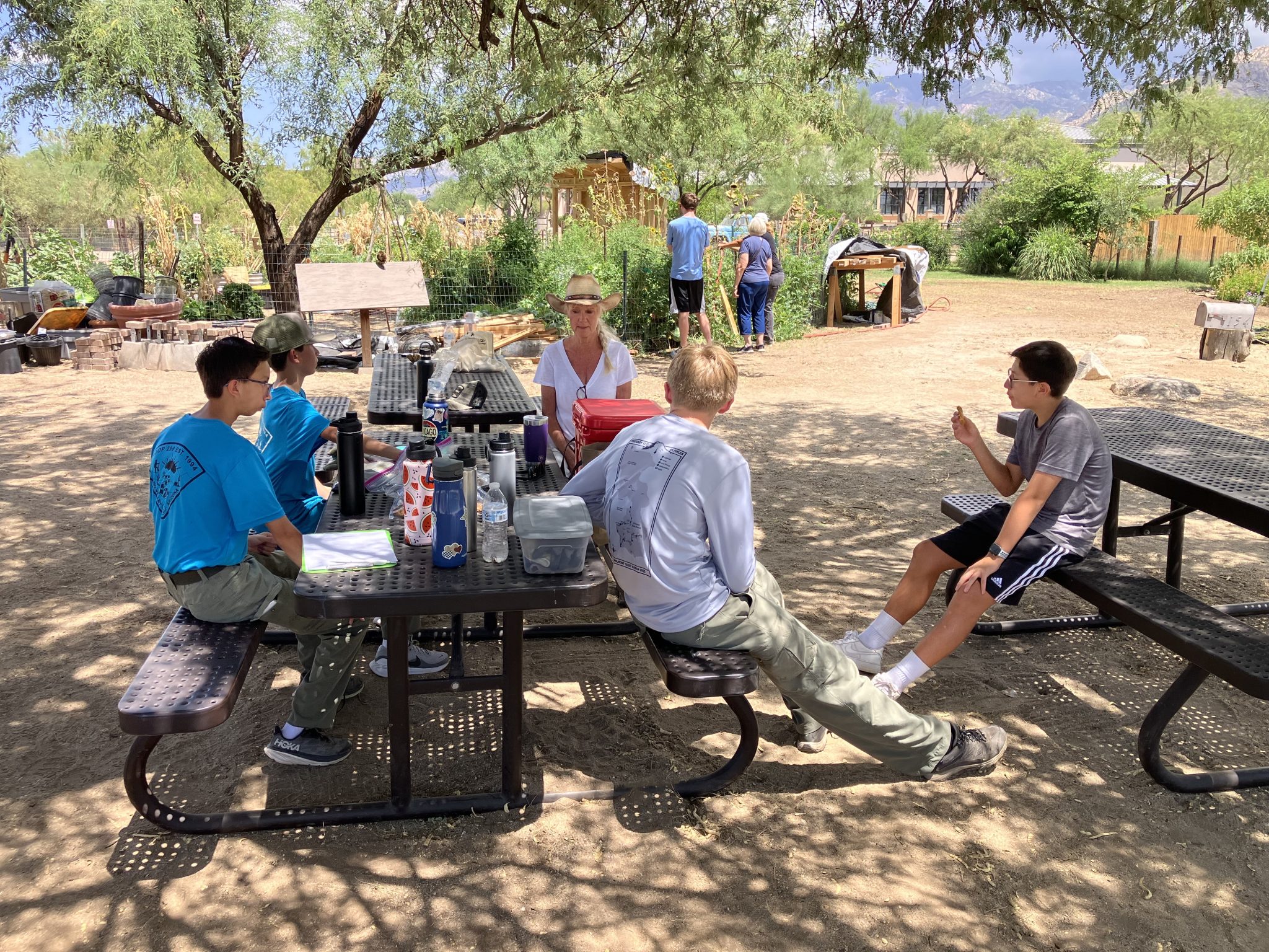 Troop 299, Oro Valley Catalina Council Scouting America Planting Native ...