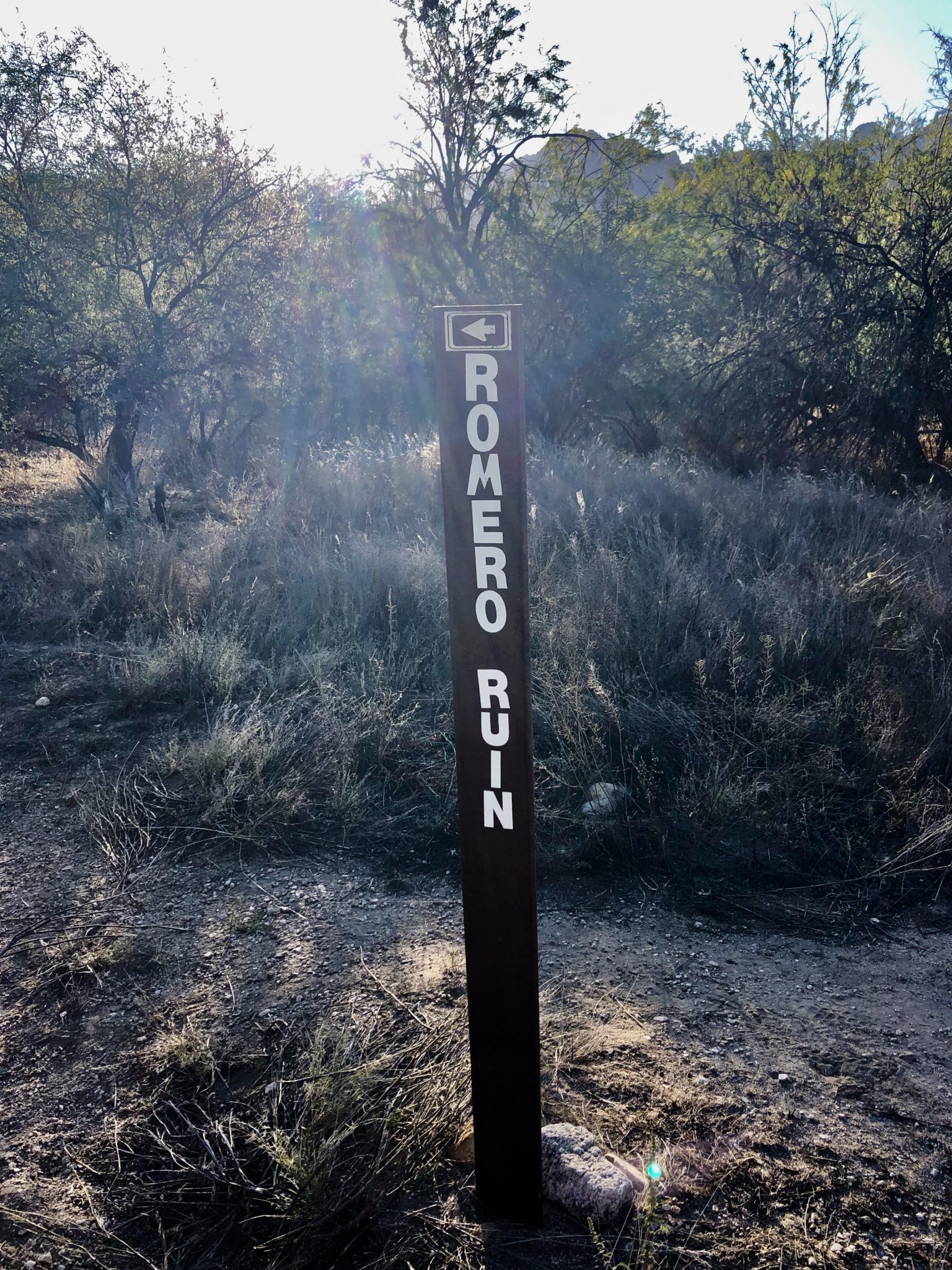 Romero Ruins and the Search for Riches in the Santa Catalinas - Oro ...