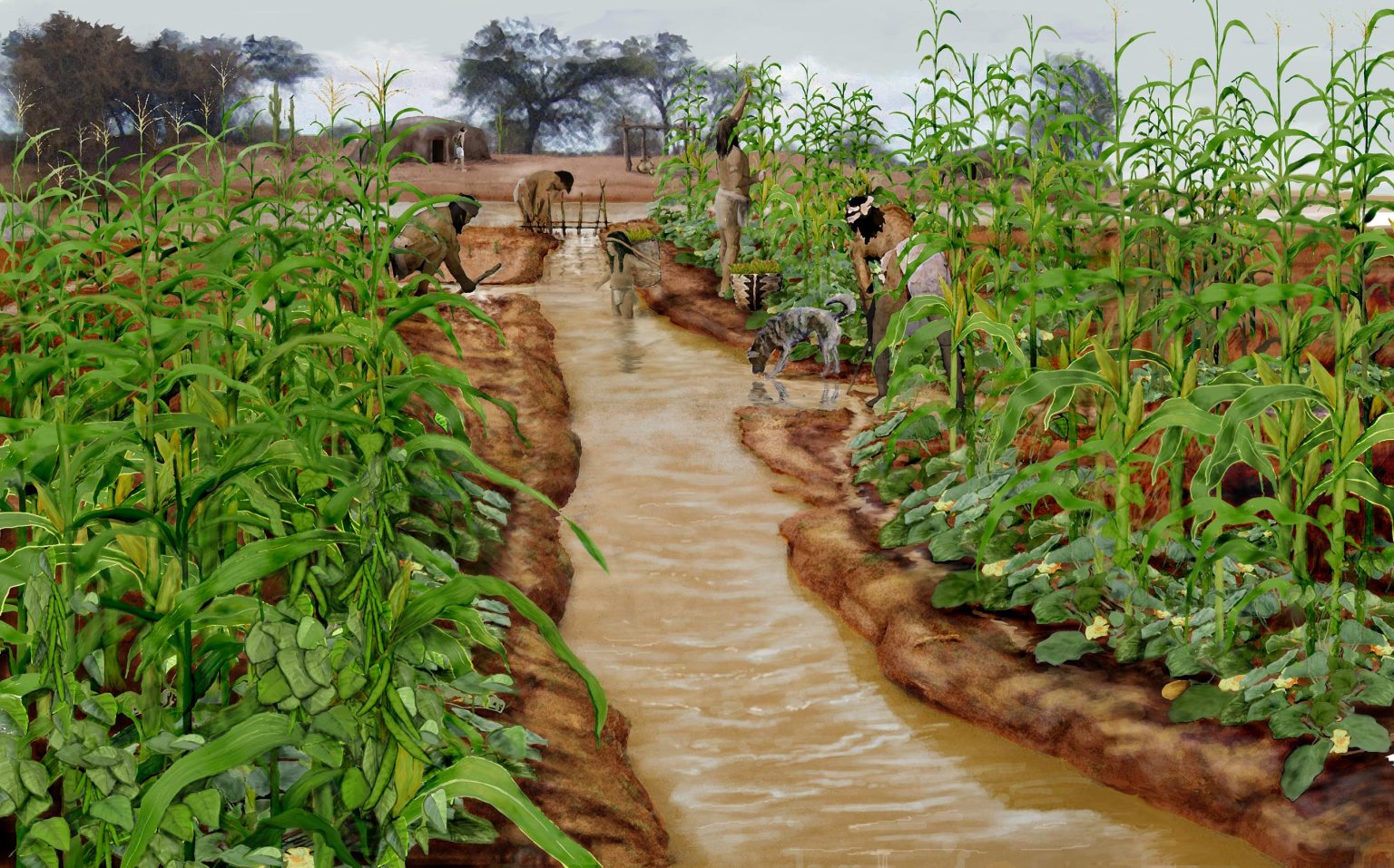 The Hohokam and Huhugam | Adapting to the Desert | - Oro Valley ...